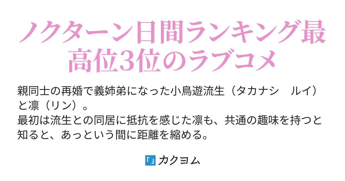 義姉とvrmmoで遊んでたら、女の子だらけのパーティーが出来た（旧題：リアル？バーチャル？今日はどっちでイチャつく？）（nolo） カクヨム