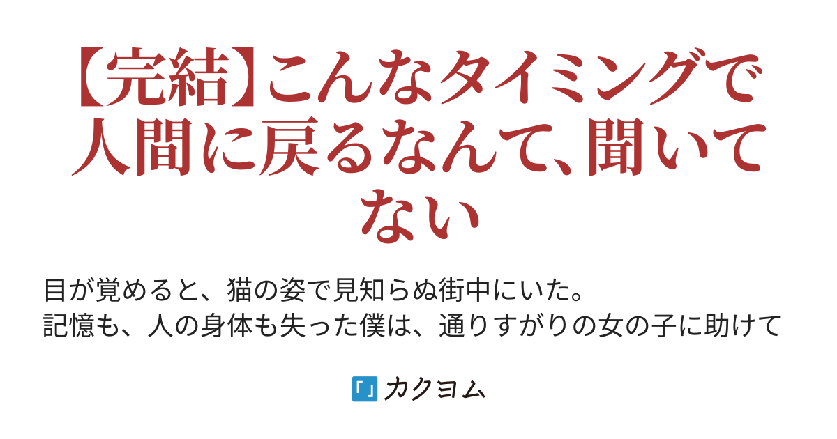 八時の魔法～記憶喪失の僕は、猫になってクール系タラシの女子大生に拾われる～（水涸 木犀） カクヨム