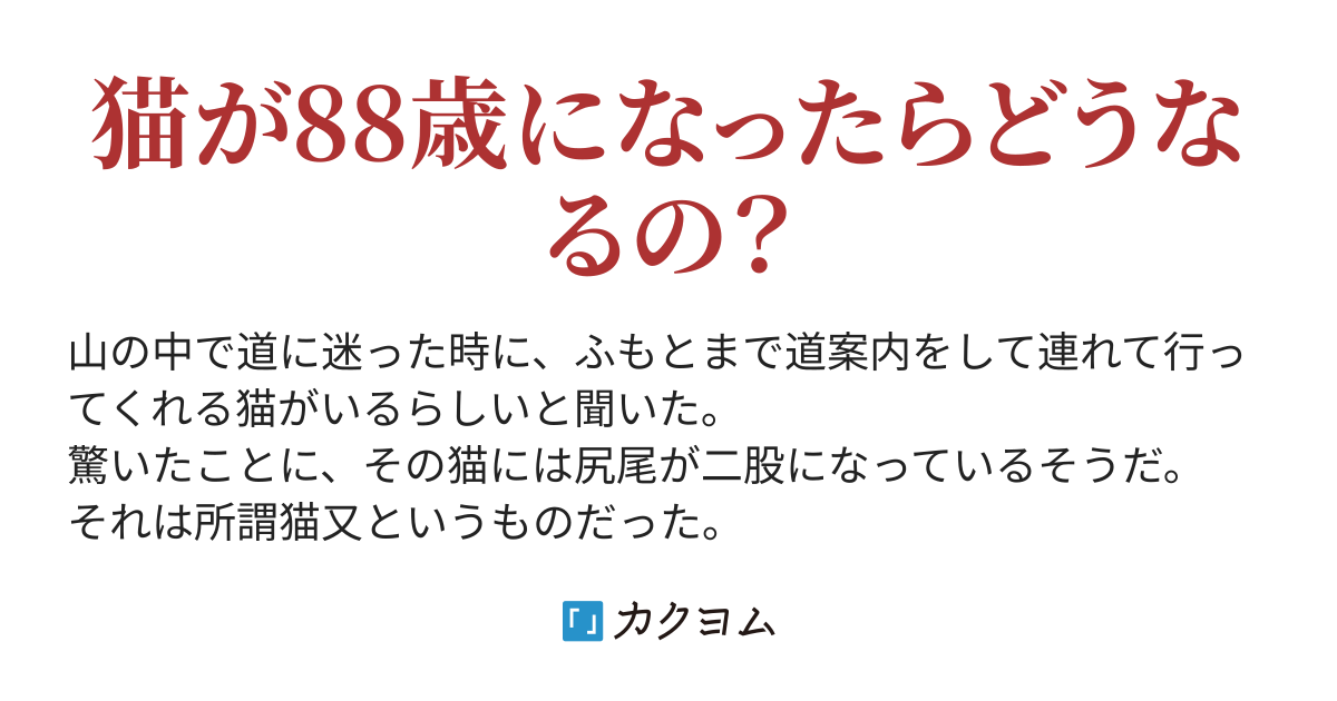 88歳の猫(千石綾子) カクヨム