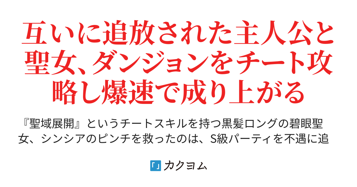 Sランクパーティを追放された荷物持ちは、大聖女とイチャラブしながら成り上がる。ヘイト管理の重要性にようやく気付きましたか?~今さら戻ってこいと