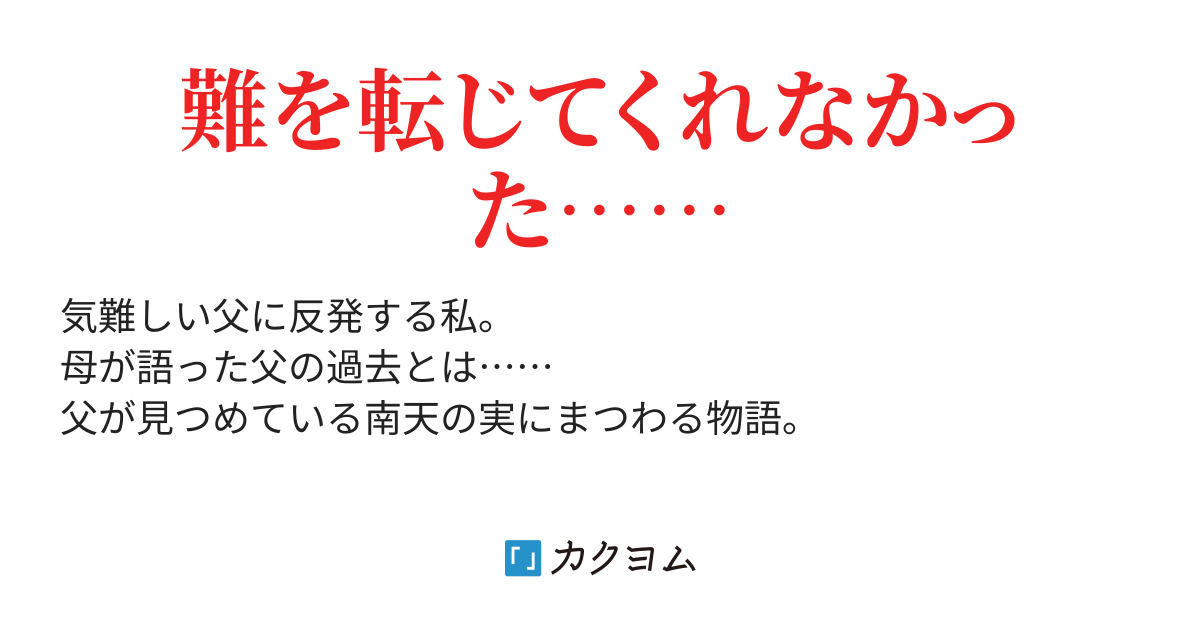 南天の実(簪ぴあの) カクヨム