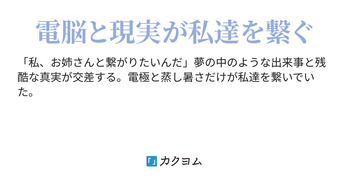 電脳聖杯少女教典（梦） カクヨム