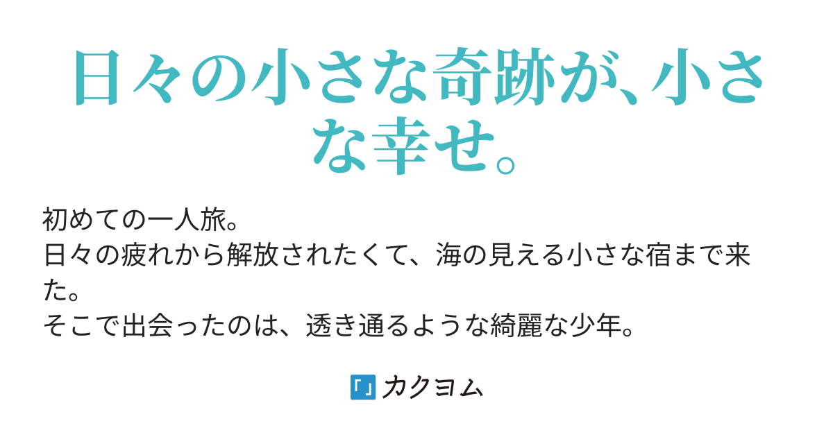 小さな奇跡の流れ星(しらたま*) カクヨム