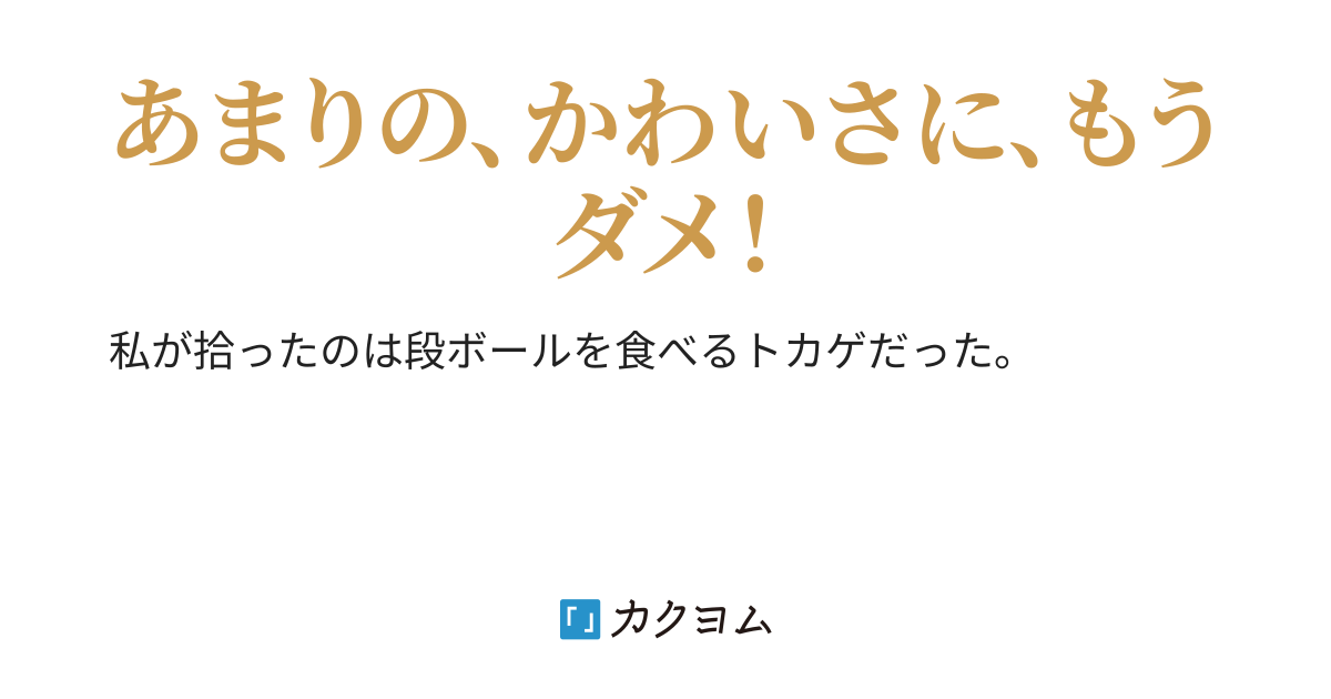 ダン(むーが) カクヨム
