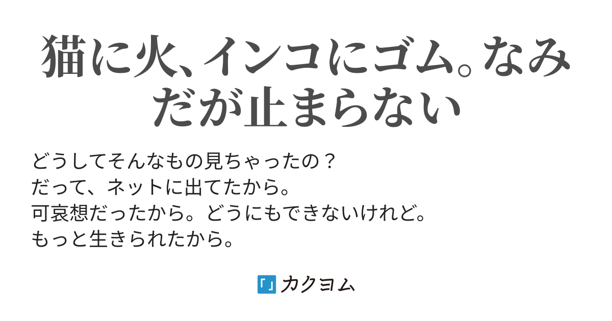 悲しくても痩せても君を覚えていただろうか。（明鏡止水） カクヨム