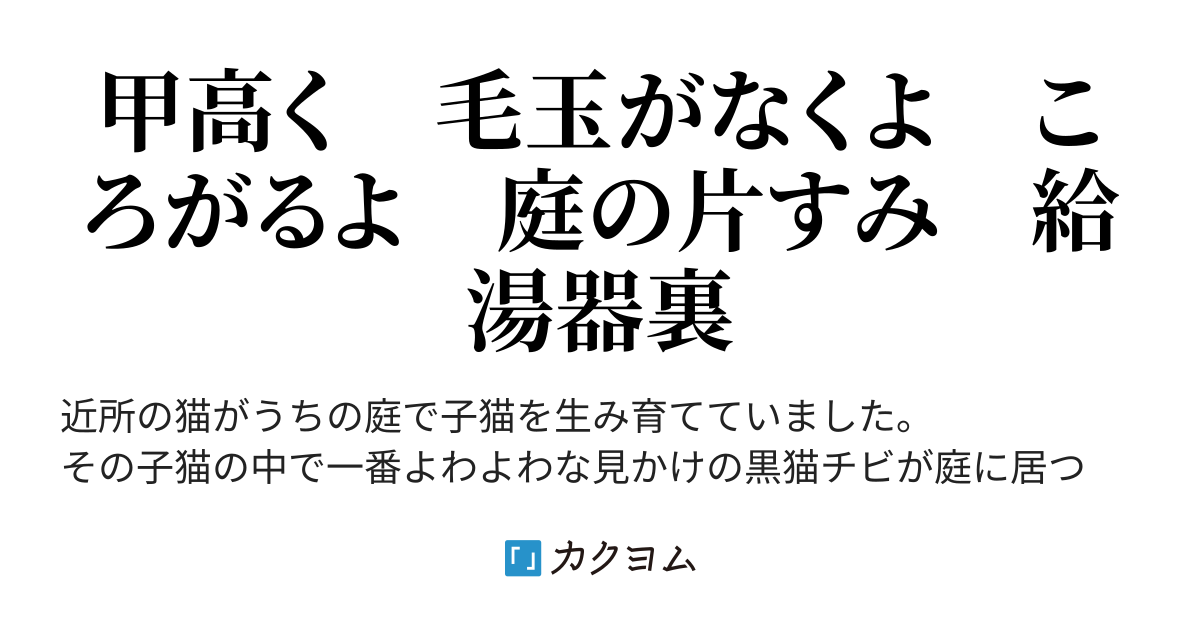 黒猫チビ追悼記（玄未マオ） カクヨム