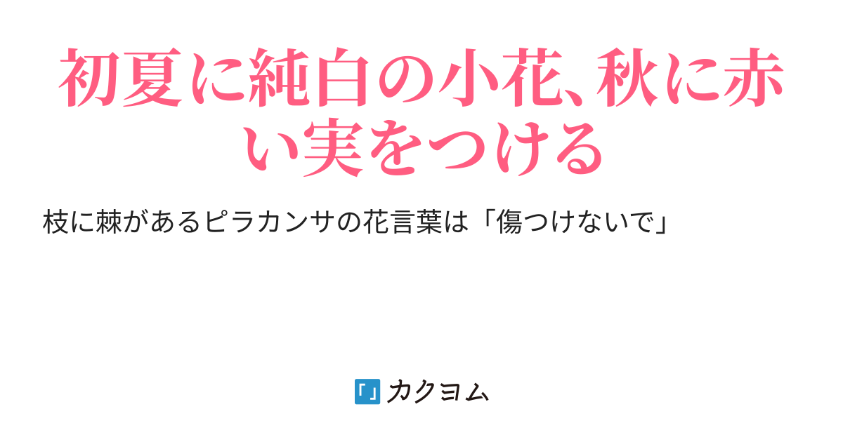 傷つけないで 🏝️(上月くるを) カクヨム