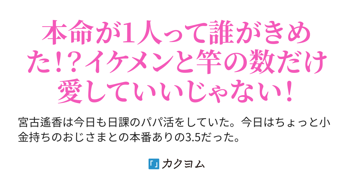 欲求不満のわたしが乙女ゲームの世界に異世界転生したので、攻略対象を全員穴兄弟にする(totoko) カクヨム