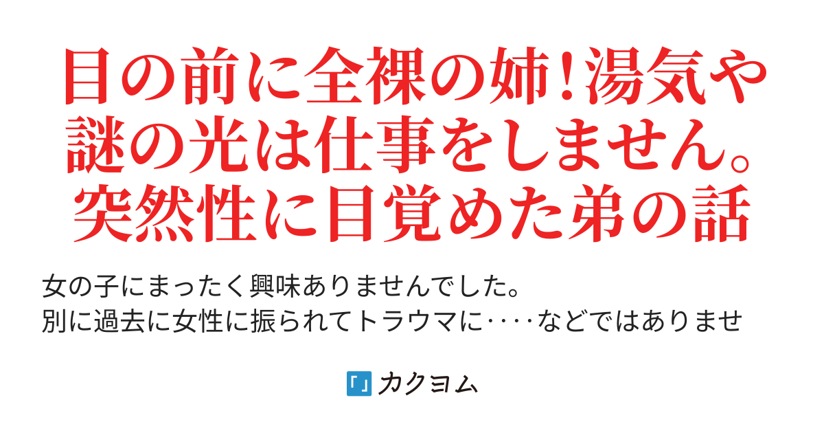 女性に興味がなかった高校生が姉の全裸を見て性に目覚める。冷静に考えると姉の友人、幼馴染、ギャル、双子の姉妹‥。あれ?俺の環境って恵まれてない