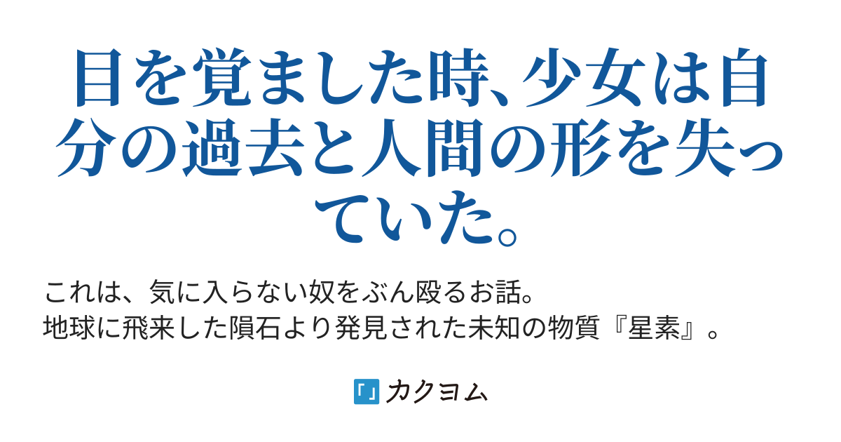 星の降る街、星空区にて（かわの） カクヨム