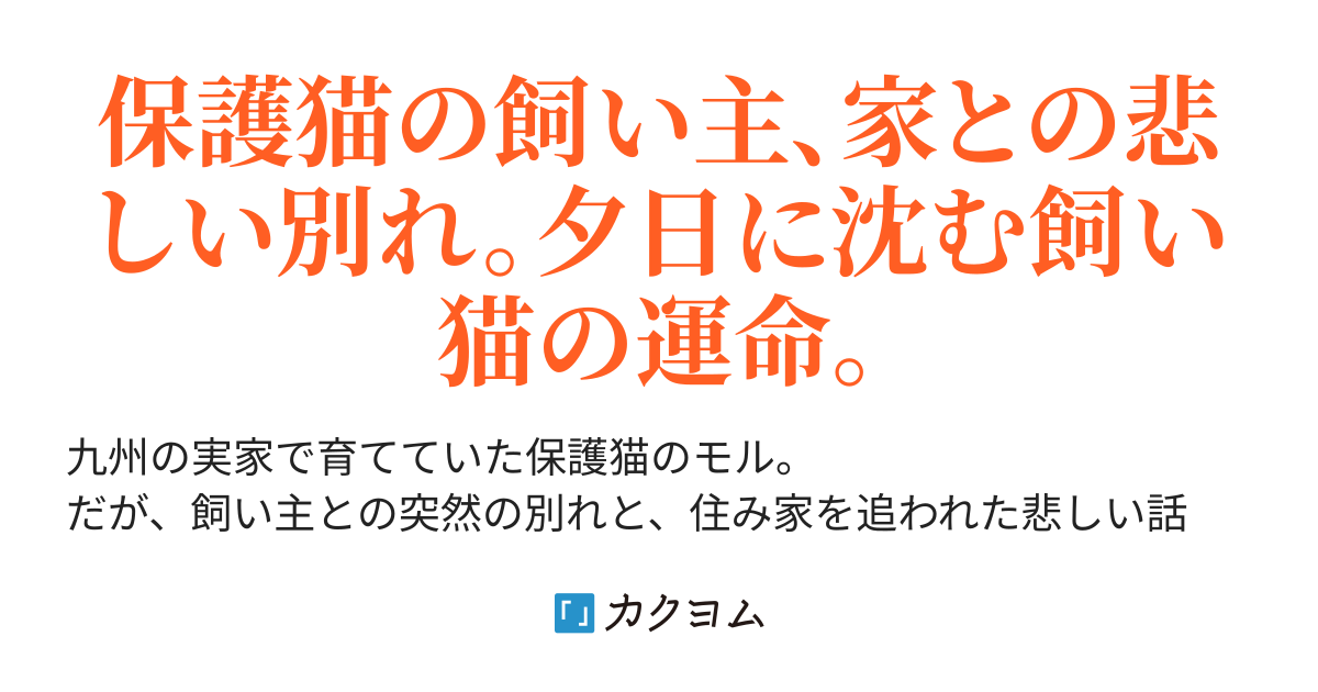 猫と夕日（羽弦トリス） カクヨム