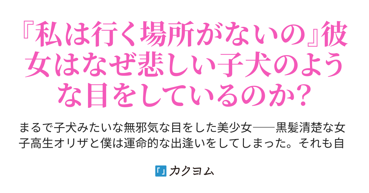 君に降り積もる雪のような悲しみの記憶に僕は触れたくなかった。～可愛い子犬を飼うはずが黒髪清楚な美少女となぜか同棲生活が始まった件