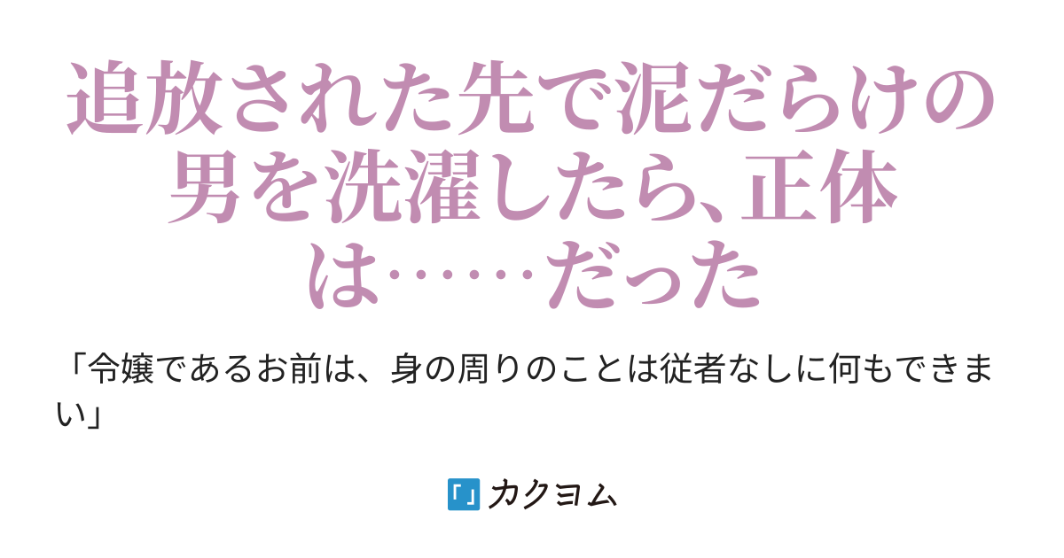 実は家事万能な伯爵令嬢、婚約破棄されても全く問題ありません(空色蜻蛉) カクヨム