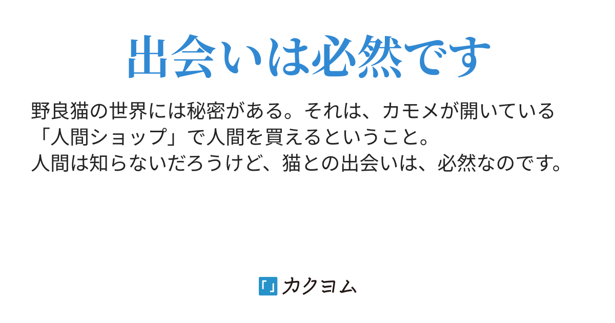 野良猫の秘密（ふさふさしっぽ） カクヨム