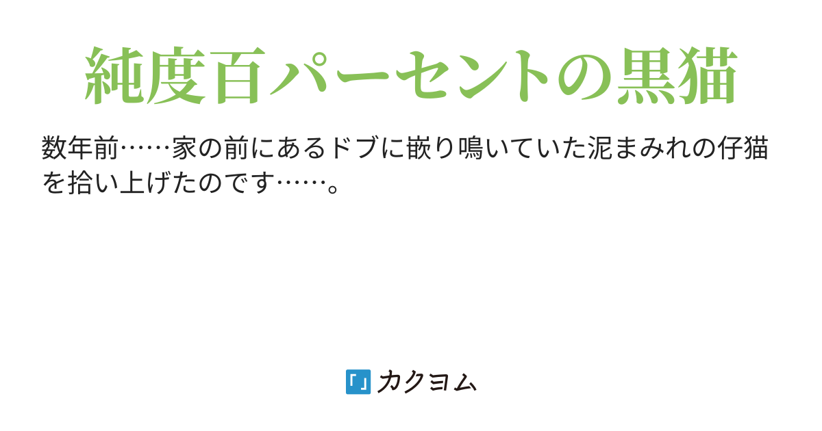 鎮座ささくれ Feat黒猫（川詩夕） カクヨム