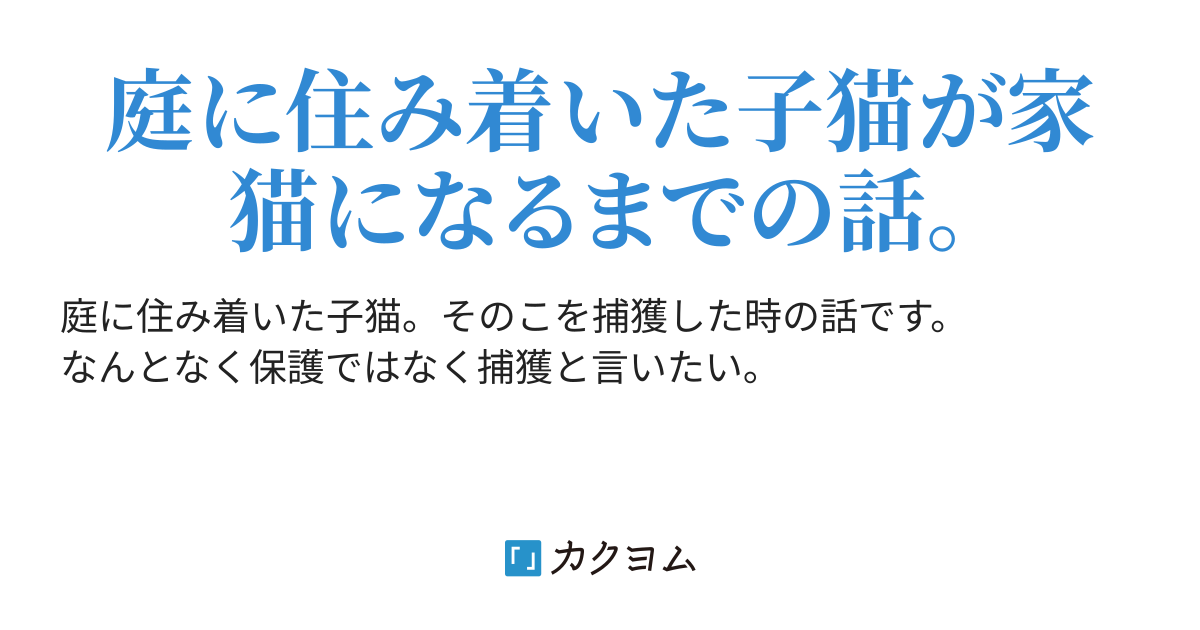 やんちゃな子猫を捕獲した話（椛猫ススキ） カクヨム