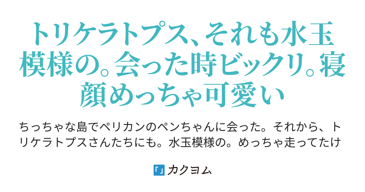 水玉模様のトリケラトプスの寝顔はめっちゃ可愛い♪ピンクの羽のペリカンのペンちゃんにも会ったよ~♪(ヤッキムン) カクヨム