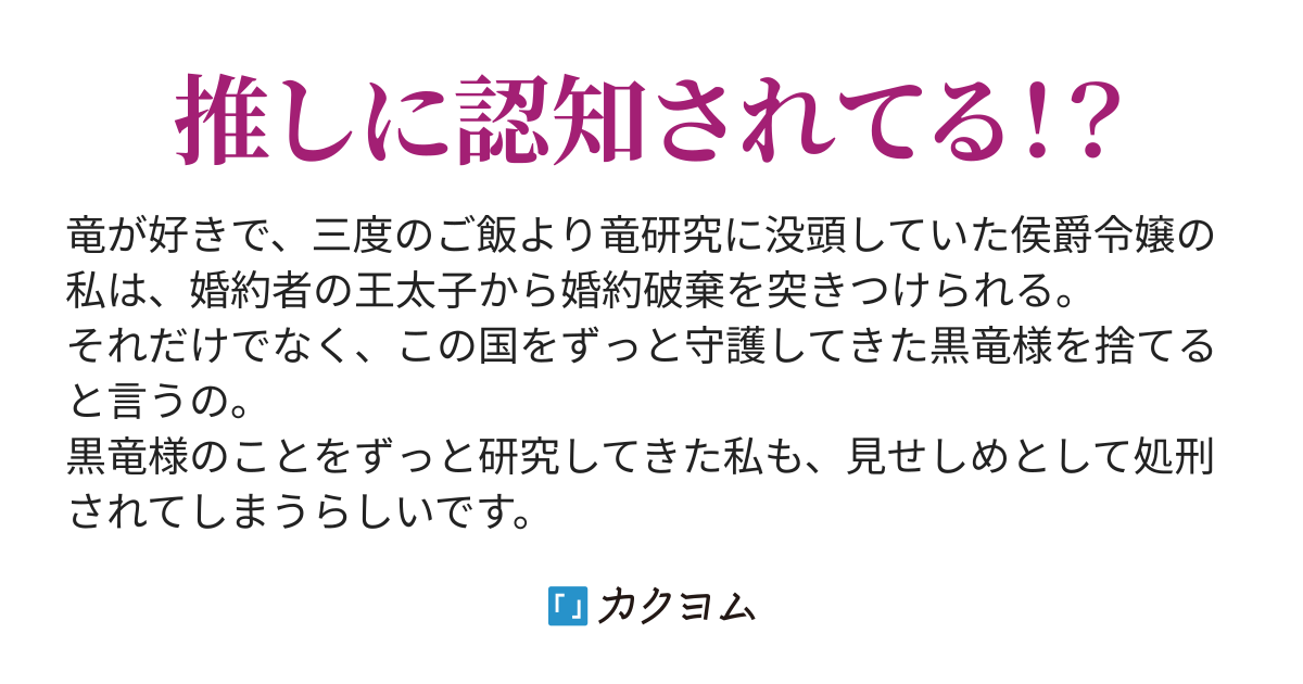 【短編版】婚約破棄された竜好き令嬢は黒竜様に溺愛される。残念ですが、守護竜を捨てたこの国は滅亡するようですよ(水無瀬) カクヨム