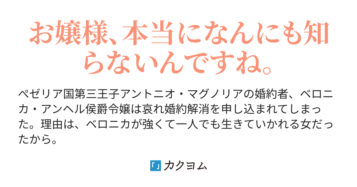 ベロニカは傷心旅に出ることにした。(二辻󠄀) カクヨム