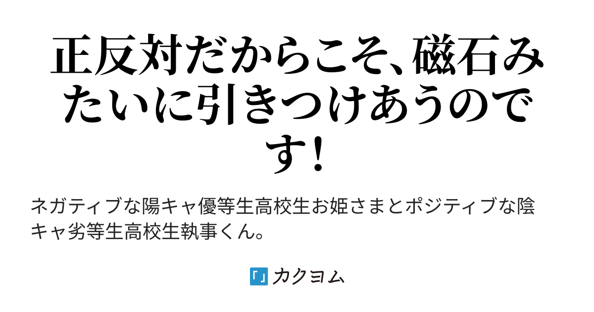 -な+お姫さまと+な-執事くん。(rir) カクヨム