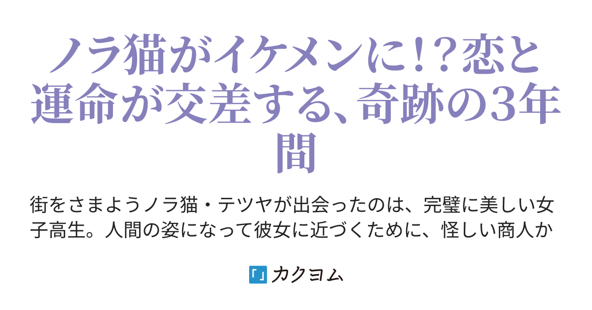 ノラ猫と女子高生の恋（藍瀬 七（あいせ なな）） カクヨム
