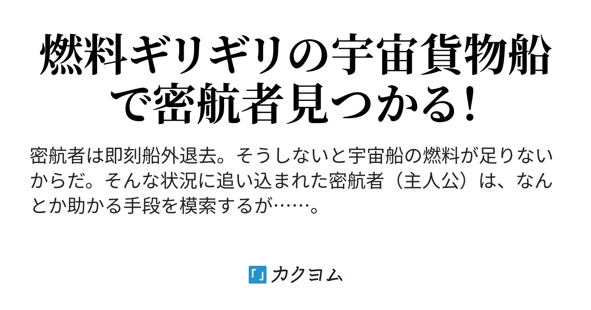 エッチな方程式(放射朗) カクヨム