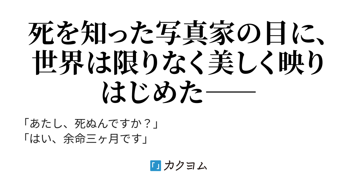 【短編小説】カメラには写らない光 ~世界は美しいと気づいた朝~(約7200字)(藍埜佑(あいのたすく)) カクヨム
