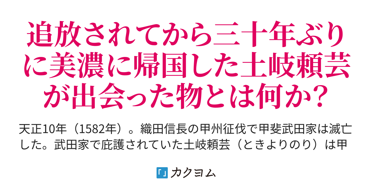 石の形（土岐三郎頼芸（ときさぶろうよりのり）） カクヨム