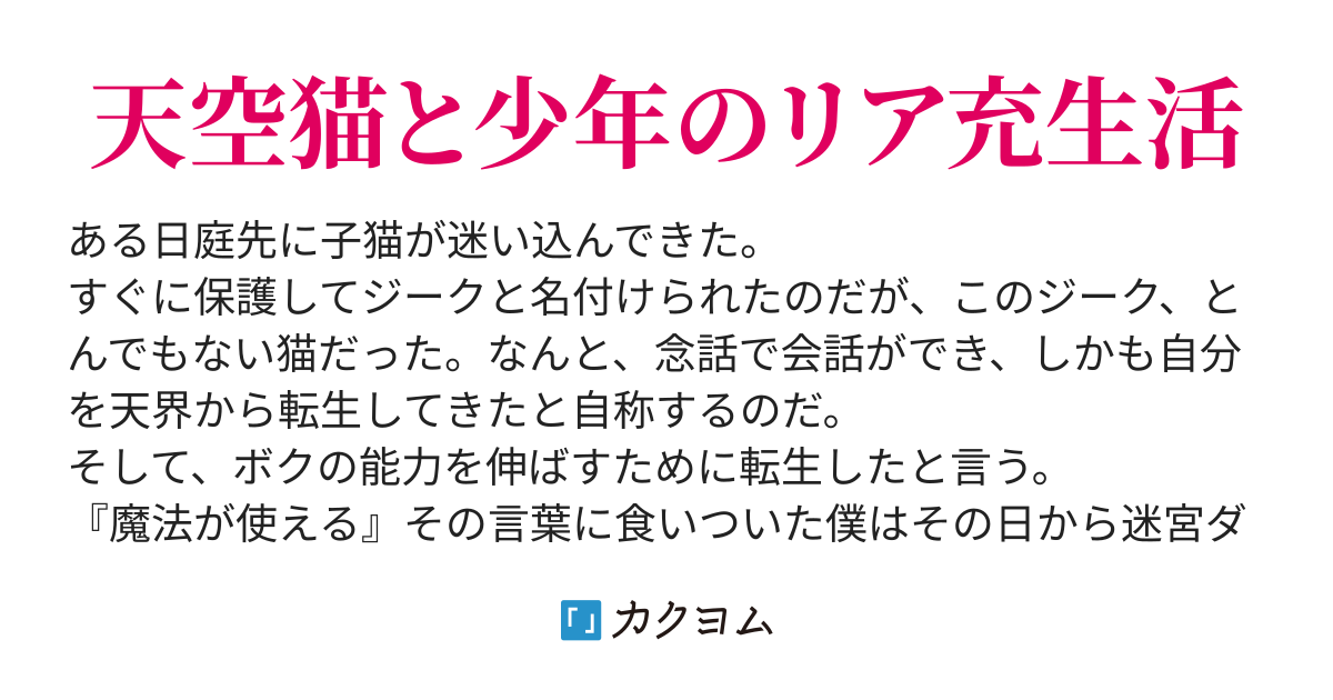 現代ダンジョンでの無双話～天空猫と美少女とオタクたち（REI KATO） - カクヨム